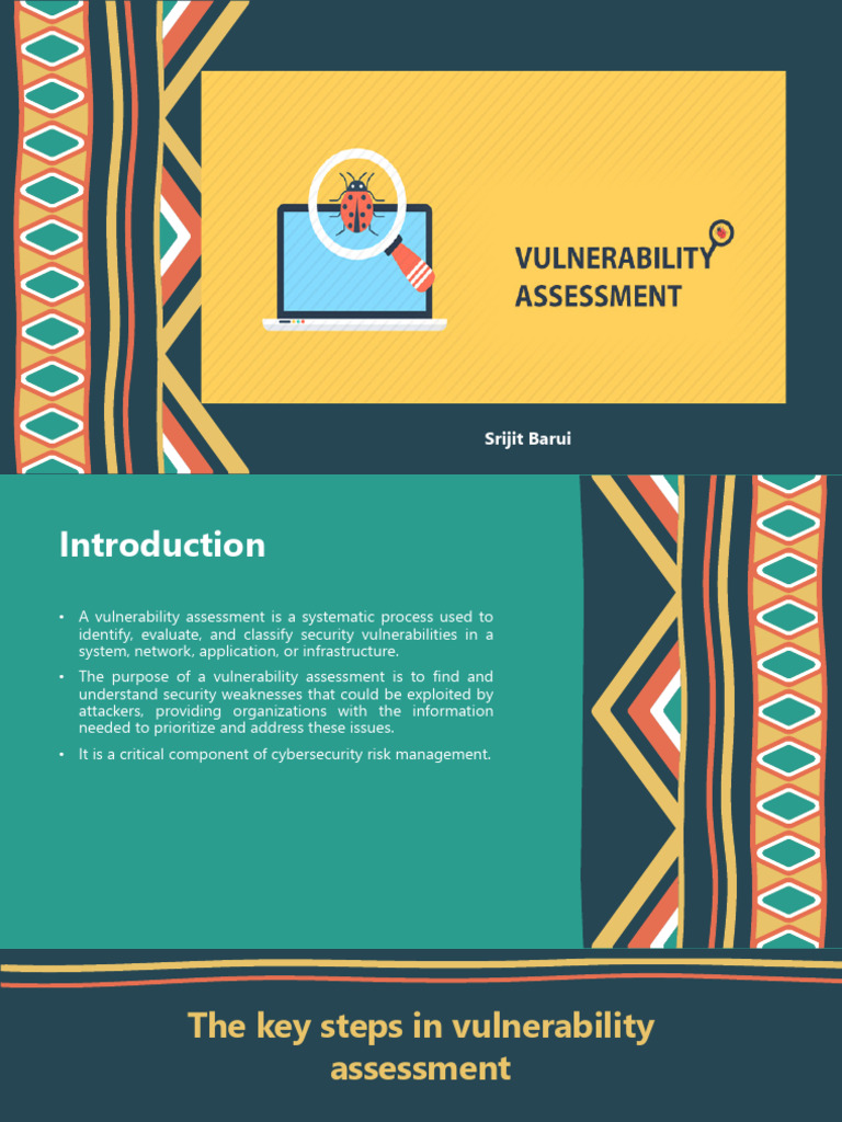 Vulnerability Assessment | PDF