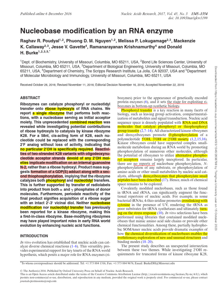 Ribozyme Editing Nucleobase Pdf Rna Dna