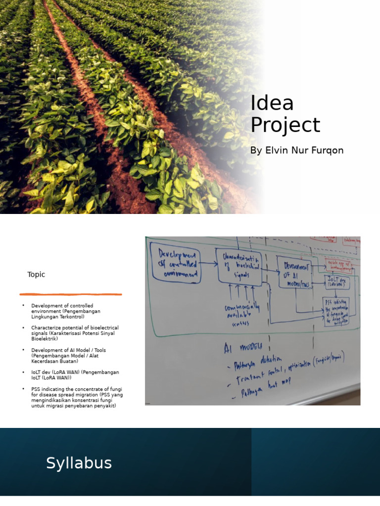 Idea Project | PDF | Fungus | Soil