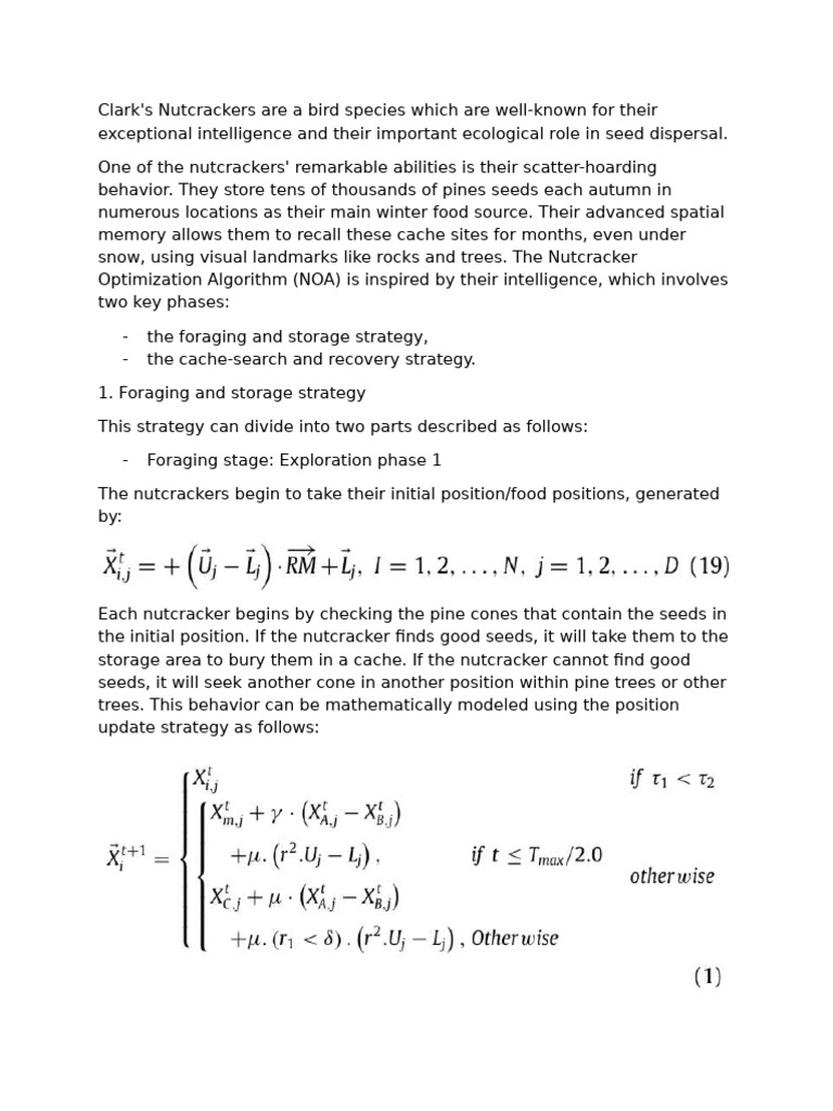 NOA_paper | PDF | Applied Mathematics | Mathematics