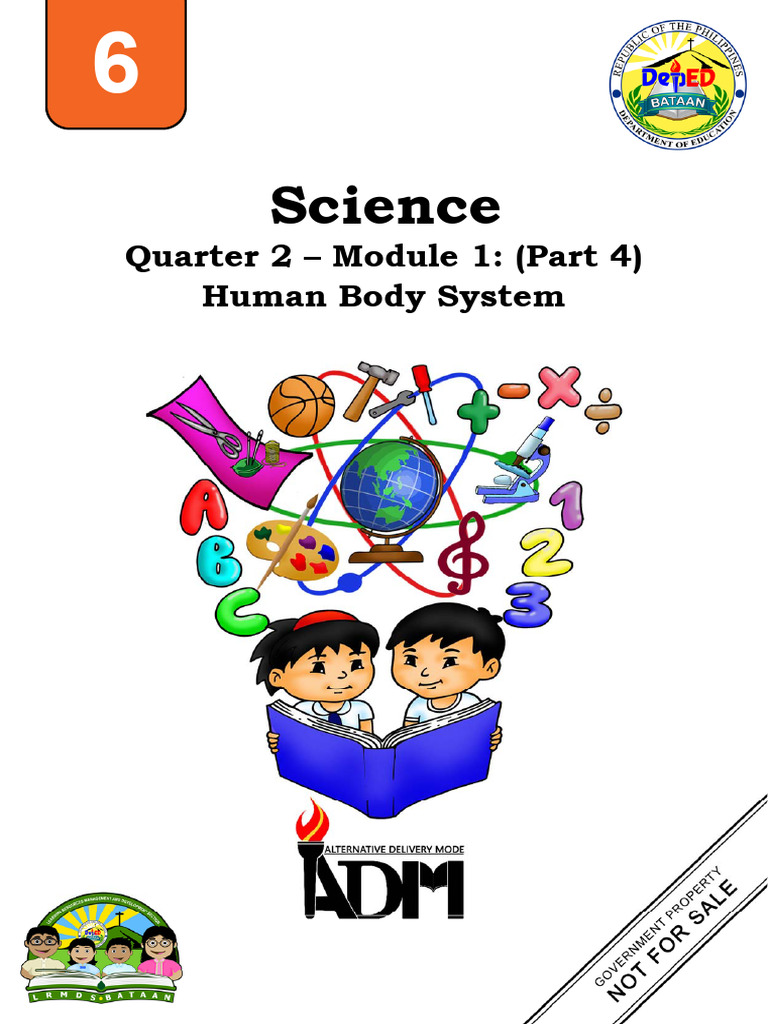 Science6 q2 Mod1 Lesson6-7 Human-Body-System v1 | PDF | Respiratory ...