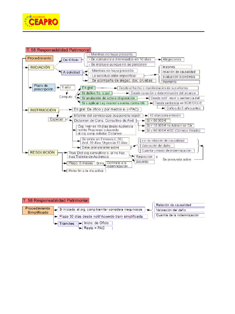 PTG Esquema T. 13 Responsabilidad Patrimonial | PDF