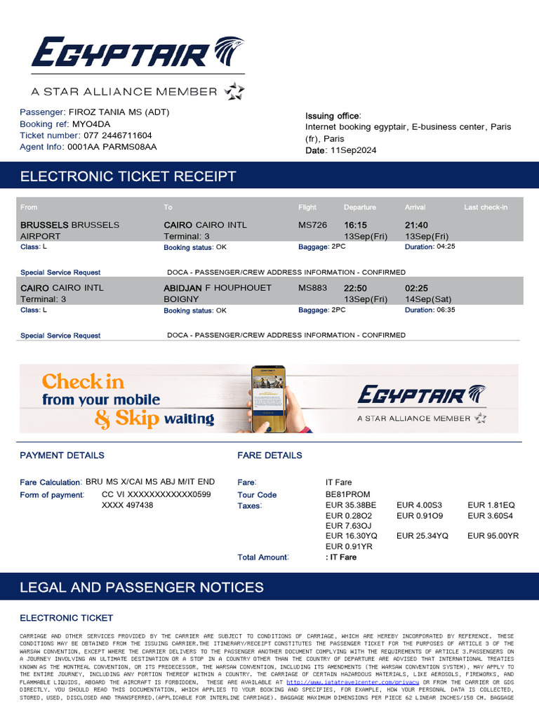 Ticket Flight Egypt | PDF