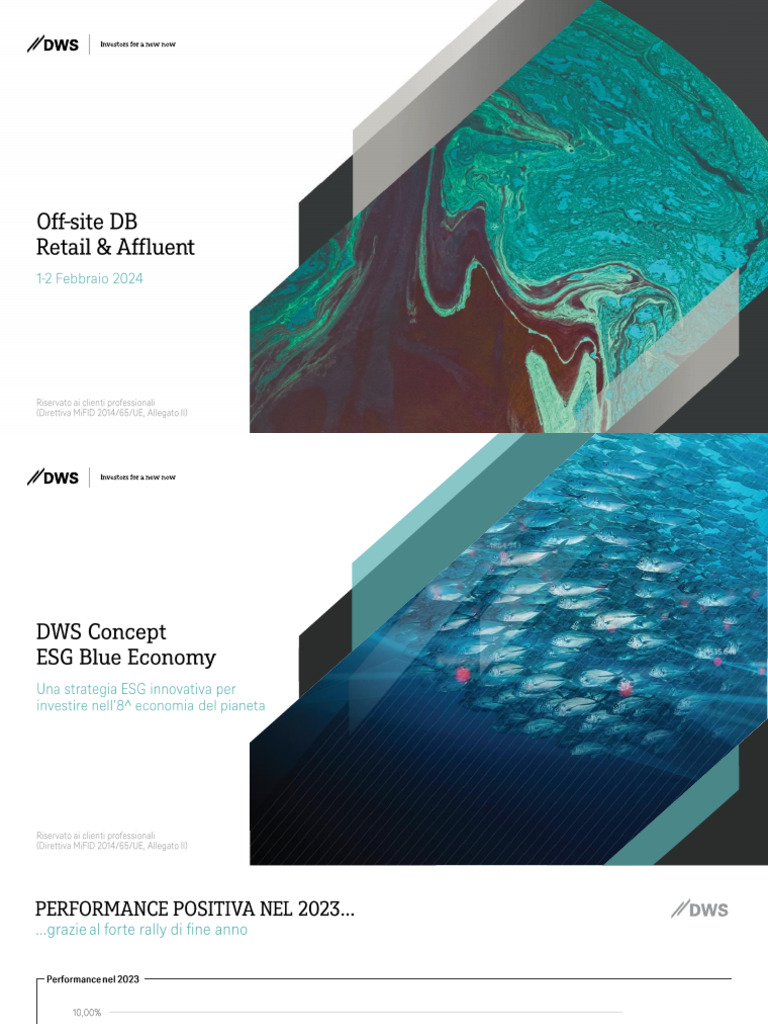 DWS Offsite R&a 01022024 | PDF