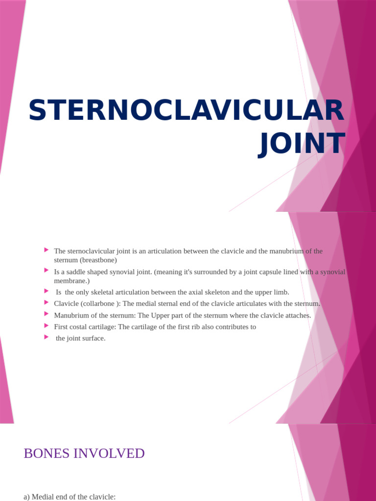 Sternoclavicular Joint Overview | PDF | Shoulder | Skeletal System