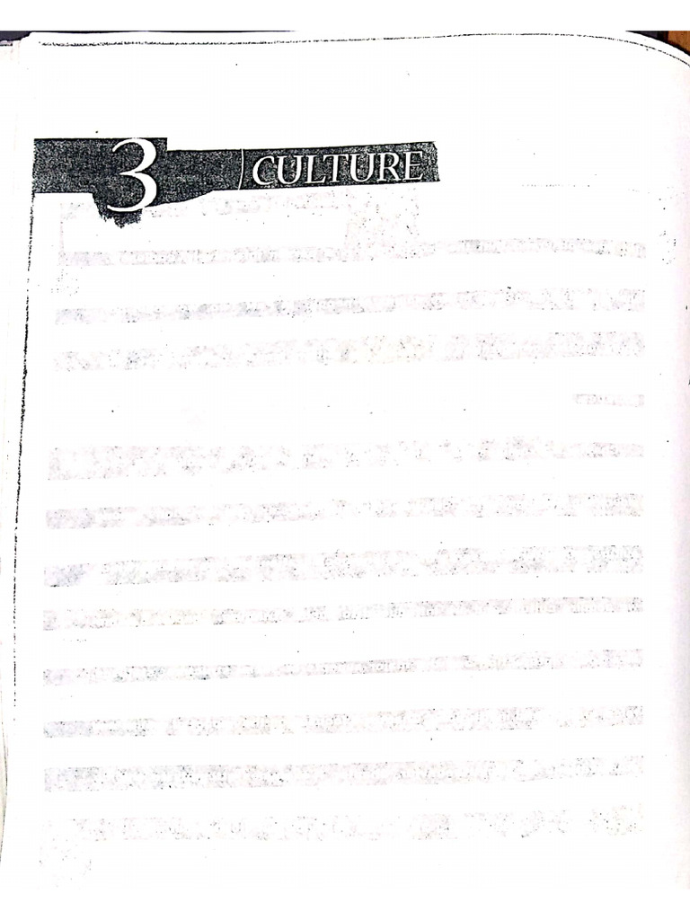 Culture | PDF