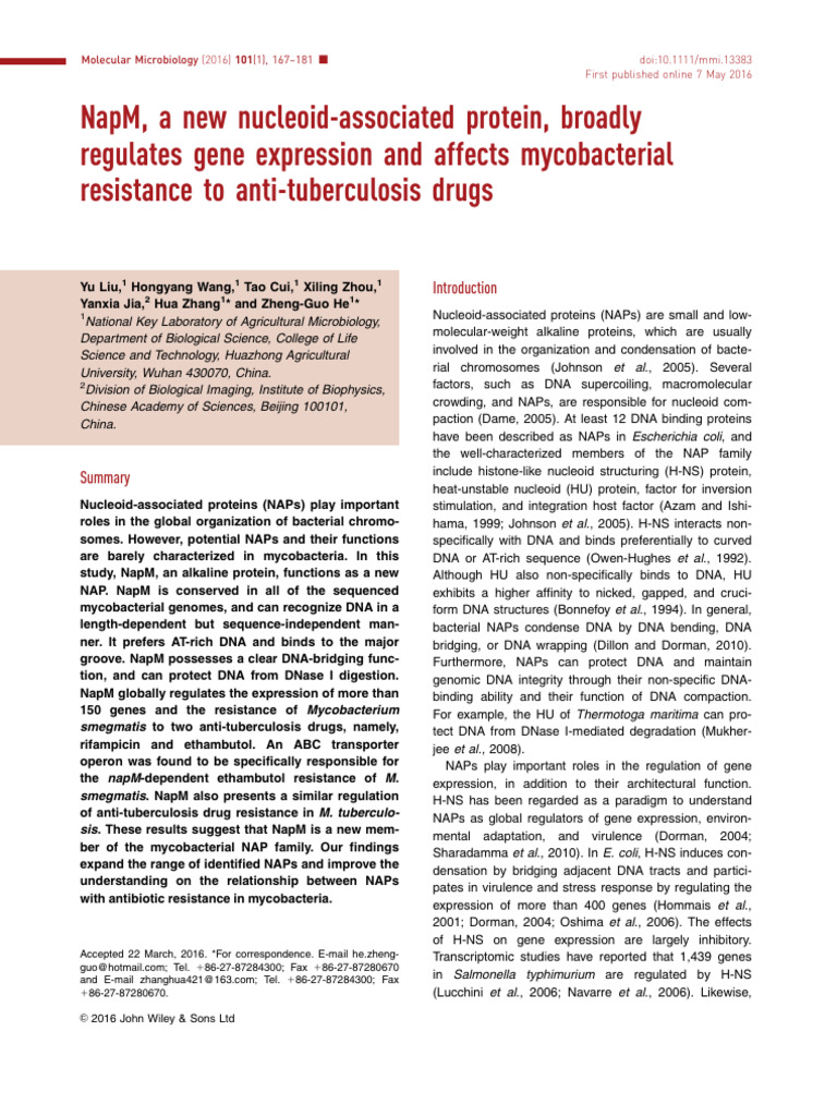 Antibiotic Resistance and NAP | PDF | Dna | Base Pair