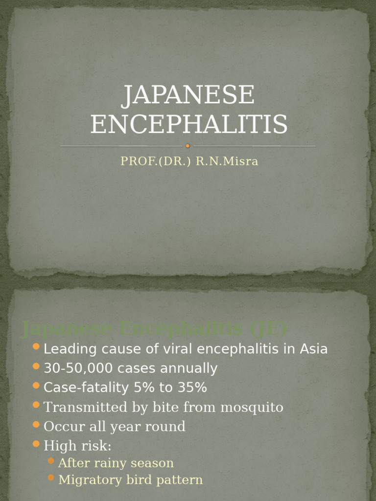 Japanese Encephalitis | PDF | Immunology | Health Sciences