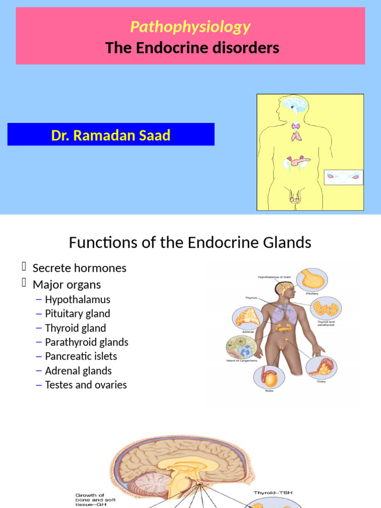 Pathophysiology (Endocrinal Disorders) | PDF | Adrenal Gland | Endocrine System
