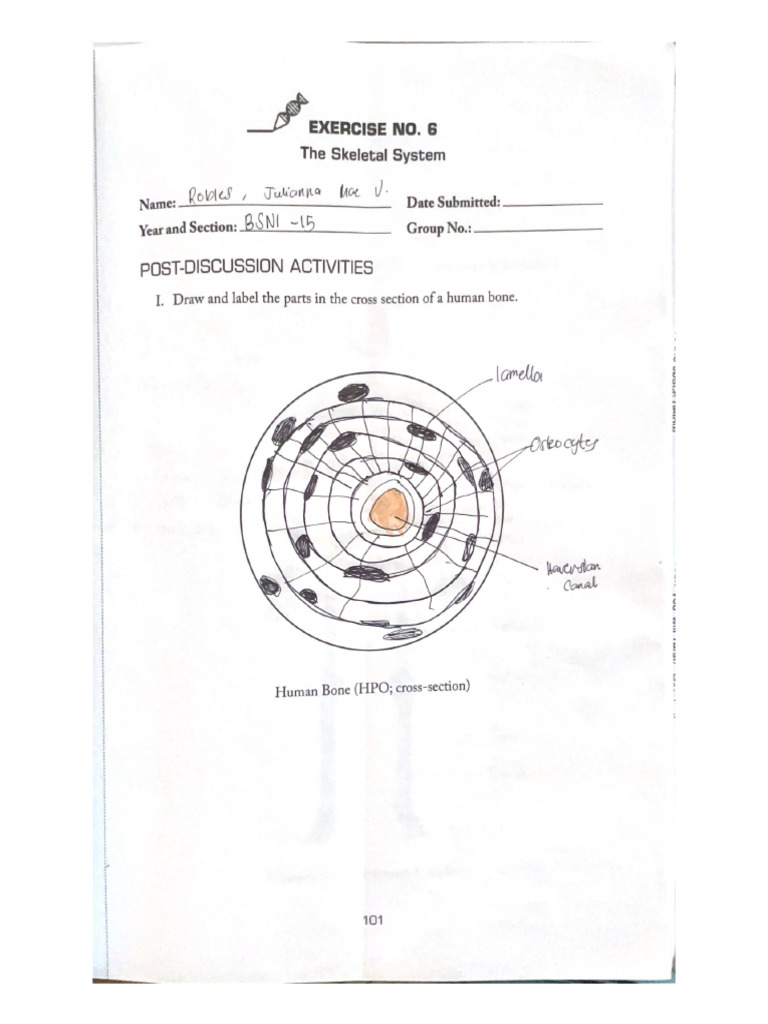 ANAPHY LAB (Exercise 6) | PDF