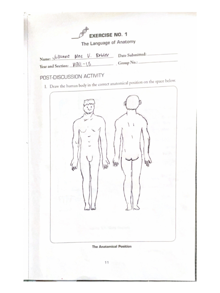 Anaphy Lab Exercise 1 | PDF