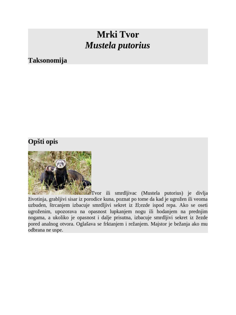 Mrki Tvor | PDF