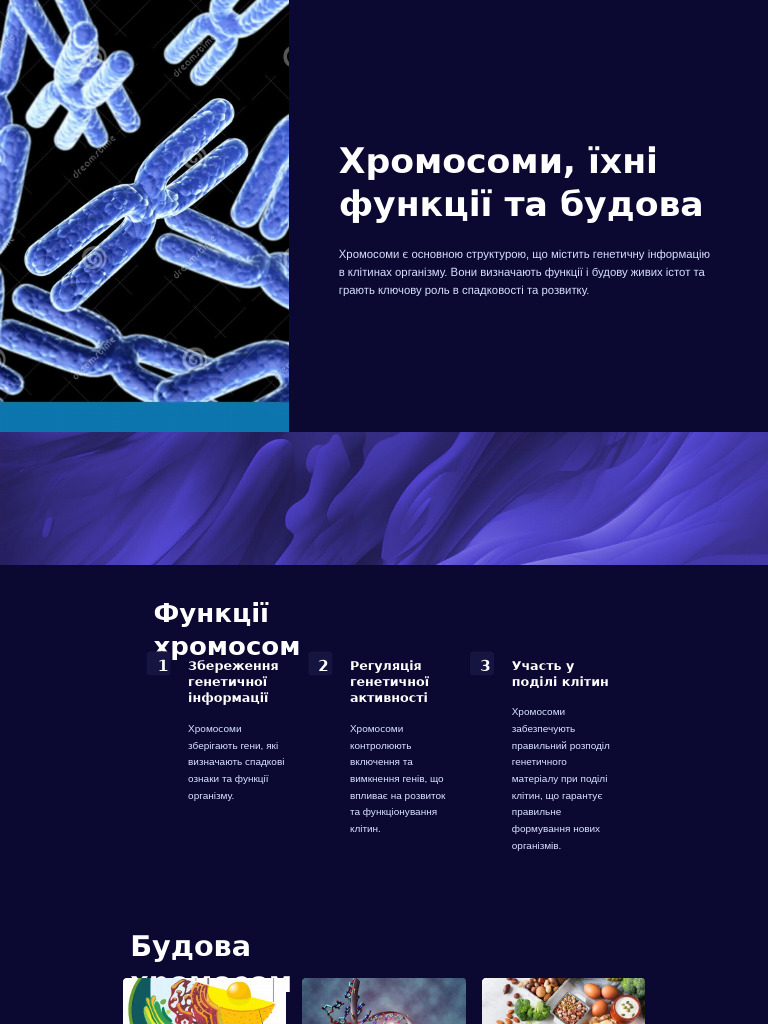 Hromosomi Yihni Funkciyi Ta Budova | PDF