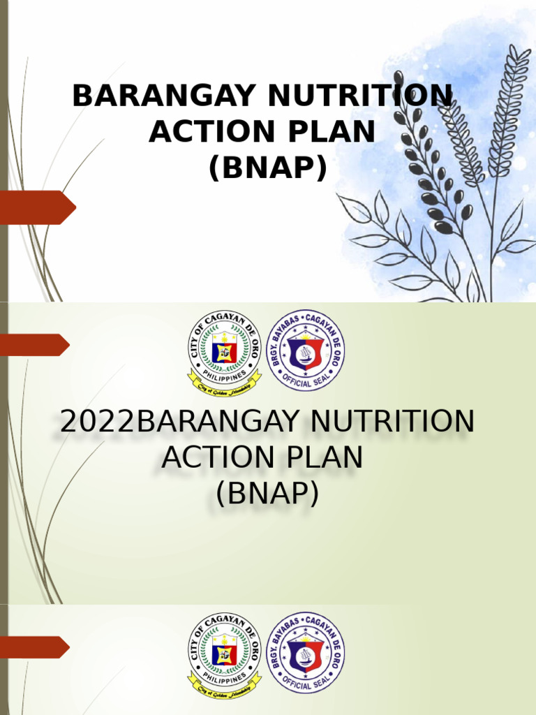Bayabas Bnap 2023 | PDF | Determinants Of Health | Nutrition