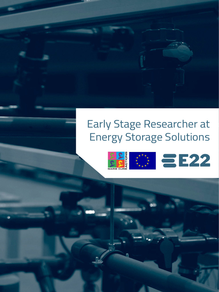 PHD_Early_Stage_Researcher_E22 | PDF | Engineering | Energy Storage