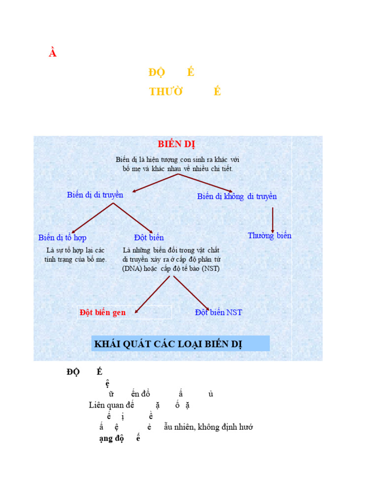 TUAN 8 SINH HOC 9 | PDF
