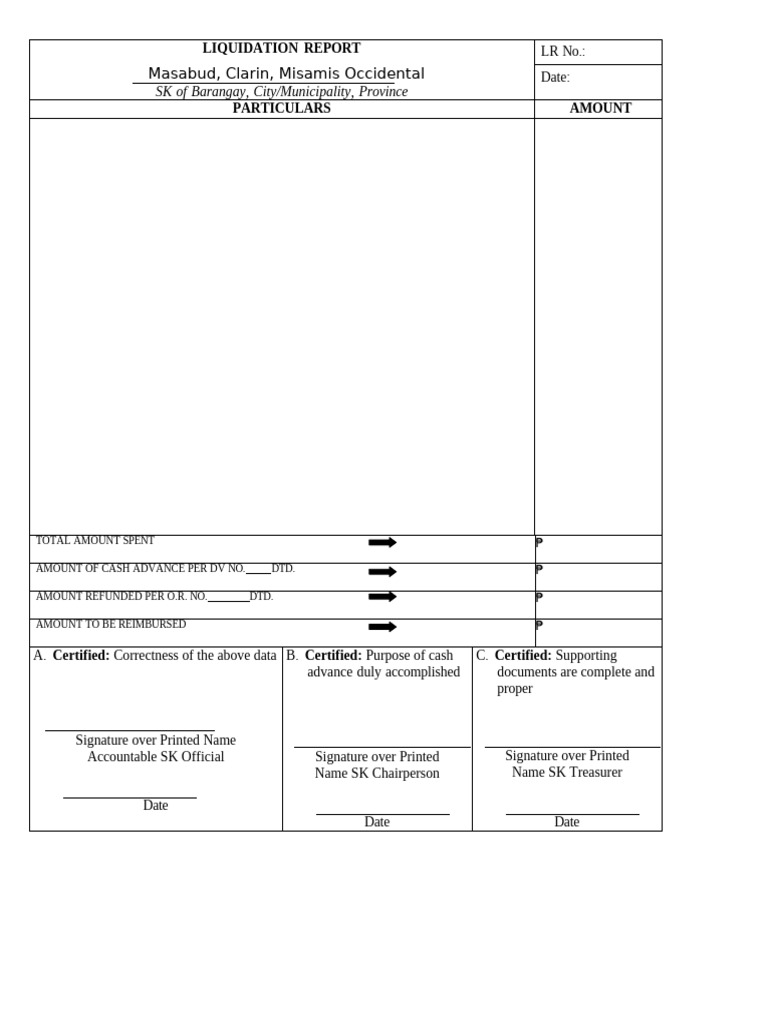 Liquidation Report | PDF | Money