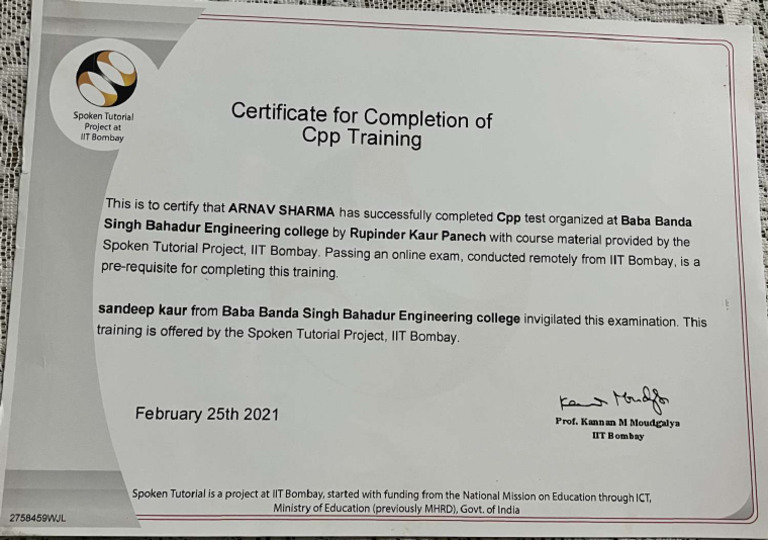 CPP Test IIT BOMBAY CERTIFICATE | PDF