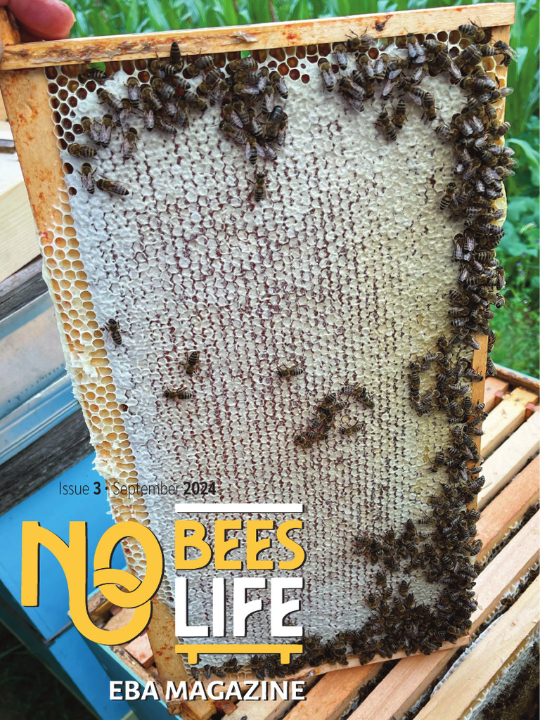 Eba Magazine No 3 Final | PDF | Dumping (Pricing Policy) | Bees