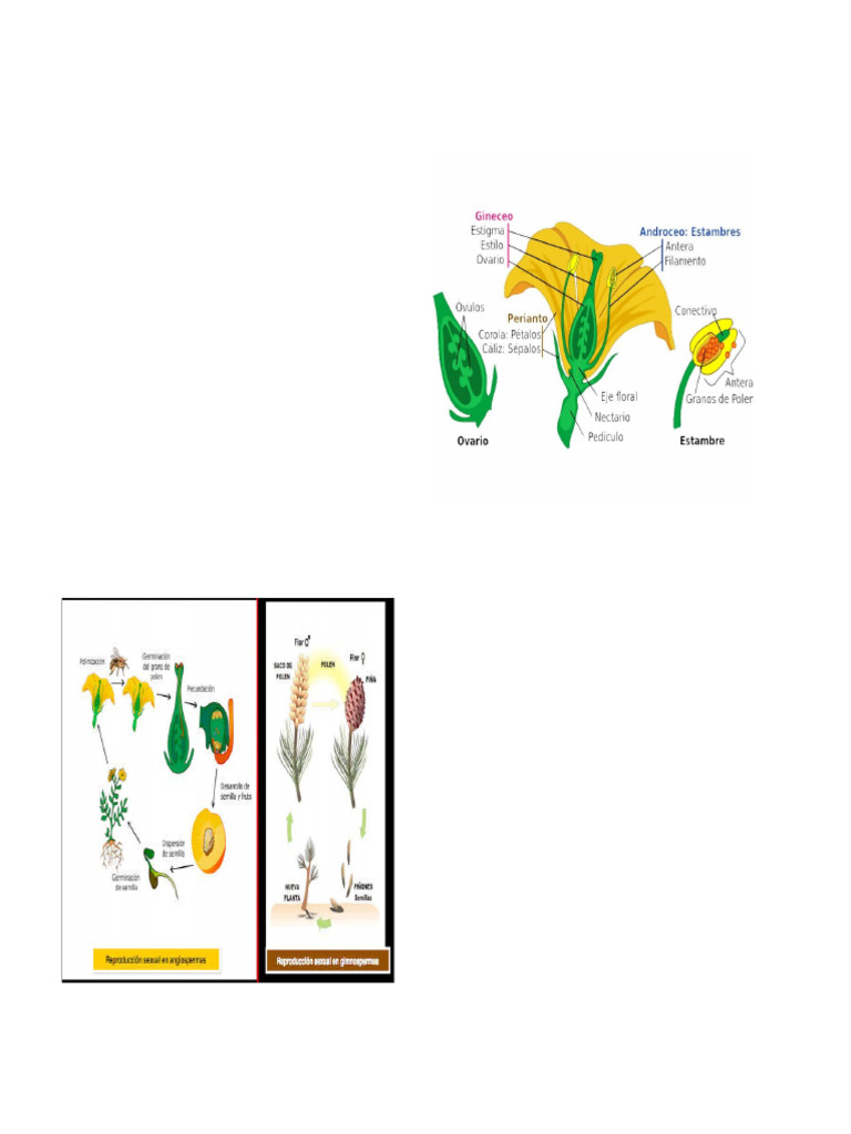 Biologia | PDF