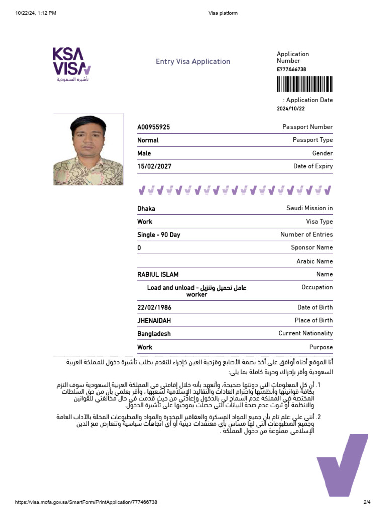 Entry Visa Application | PDF