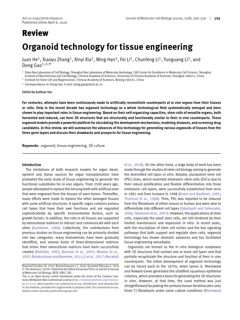 2020 Organoid Technology For Tissue Engineering | PDF | Liver | Pancreas