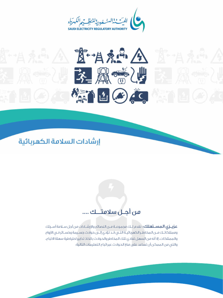 Electricity Safety Guidelines SERA | PDF