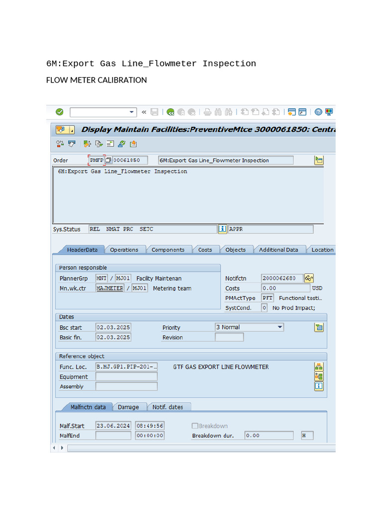 6M Export Gas Line - Flowmeter Inspection | PDF | Identity Document ...