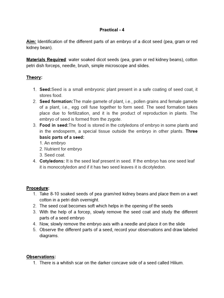 Practical 4 - Dicot Seed - Class X | PDF | Seed | Embryo