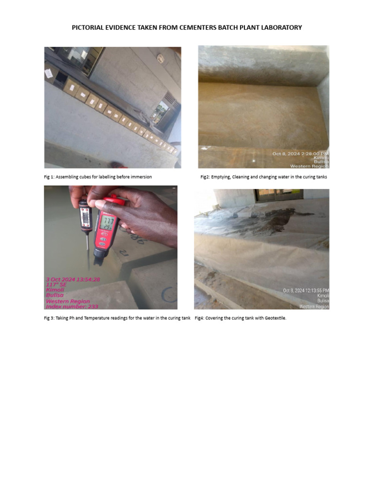 Pictorial Evidence Taken From The Batch Plant Lab | PDF