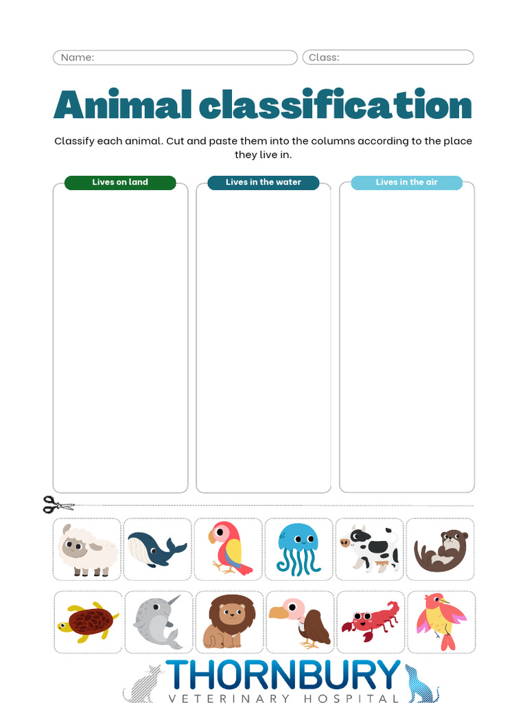 Animal Classification Worksheet | PDF | Science & Mathematics
