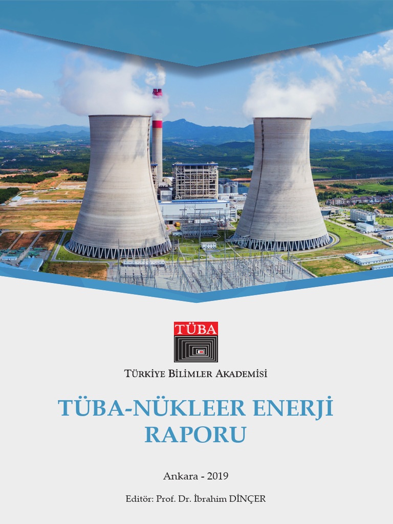 Nükleer Enerji Raporu | PDF