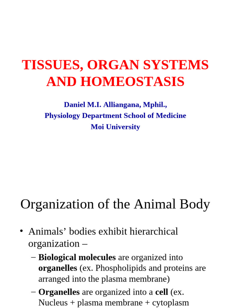 Animal Body Systems & Tissues Guide | PDF | Epithelium | Tissue (Biology)
