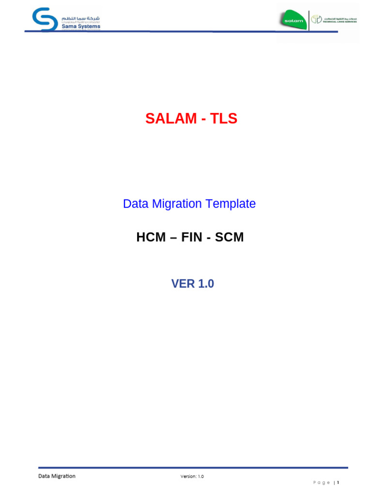 Data Migration Template | PDF | Accounts Payable | Accounting