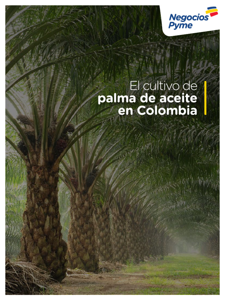 Lectura Complementaria - Clase 3 | PDF