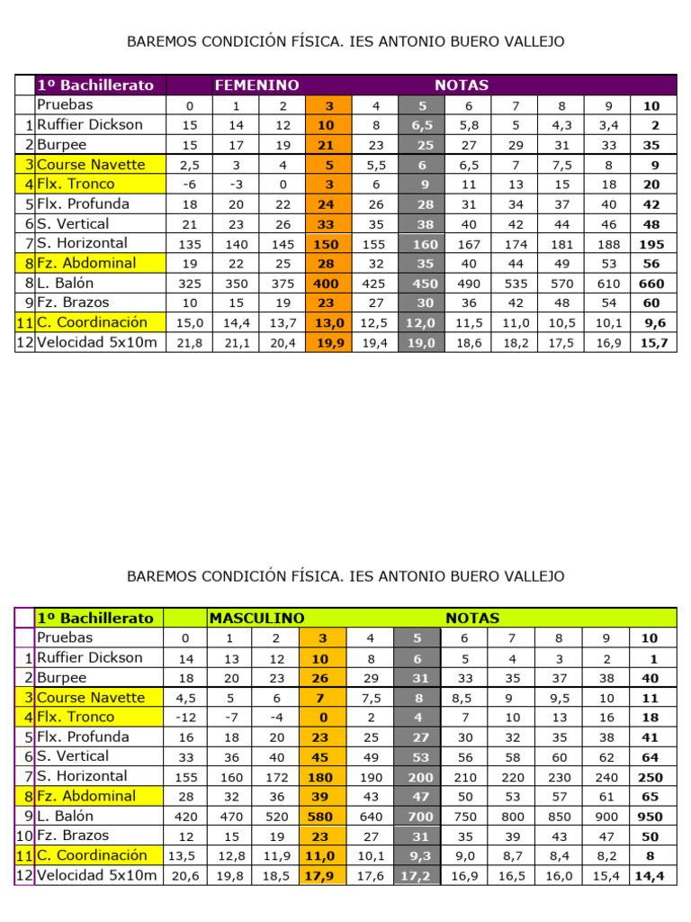 Baremos Condición Física | PDF