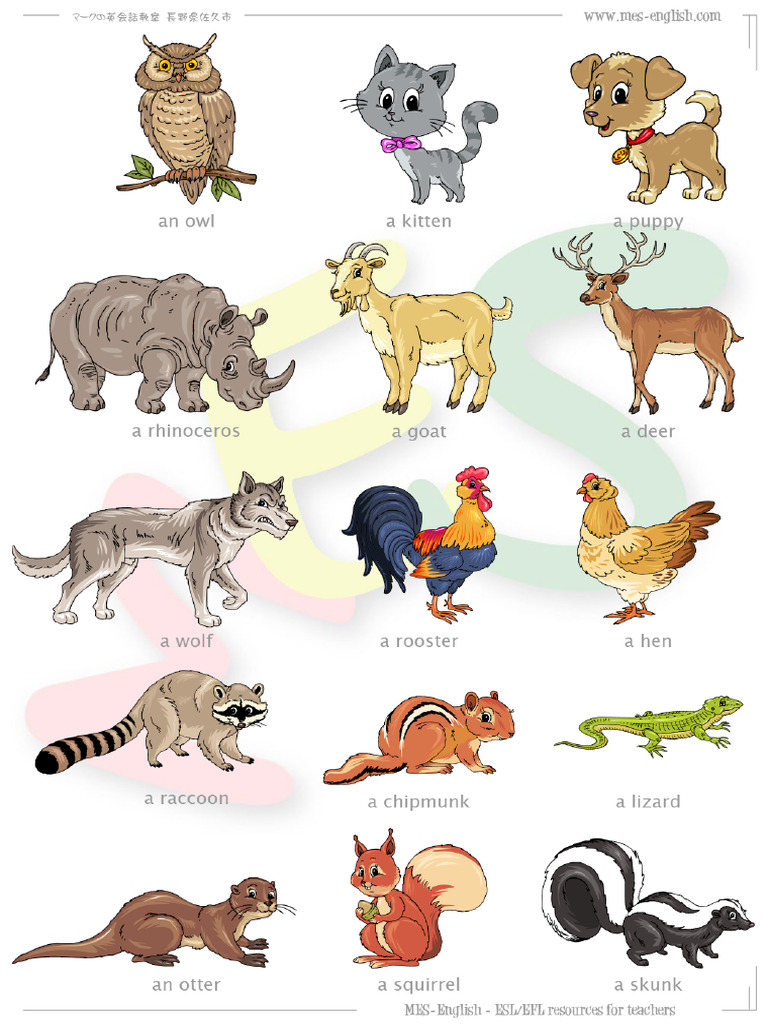 7MES Flashcards - Print Page | PDF