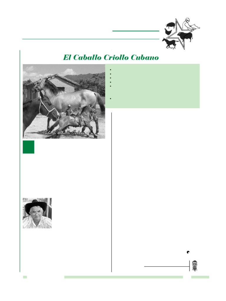 Características del Caballo Criollo Cubano | PDF | Caballos | Equus ...