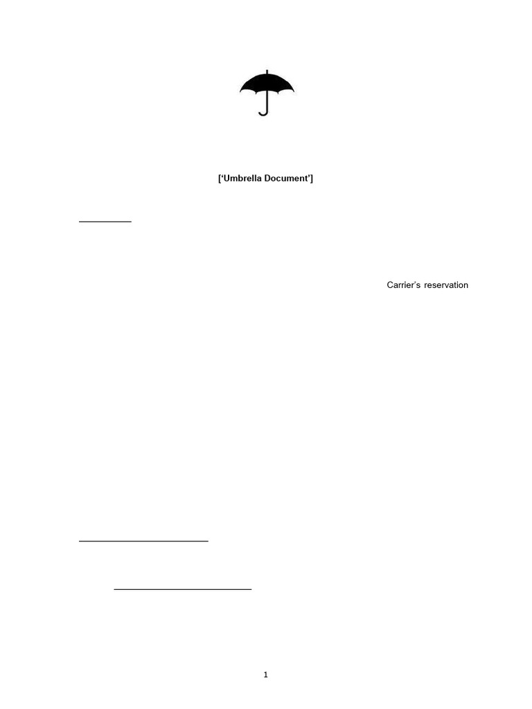 Umbrella Document.2013Dec03 | PDF | Airport | Customs