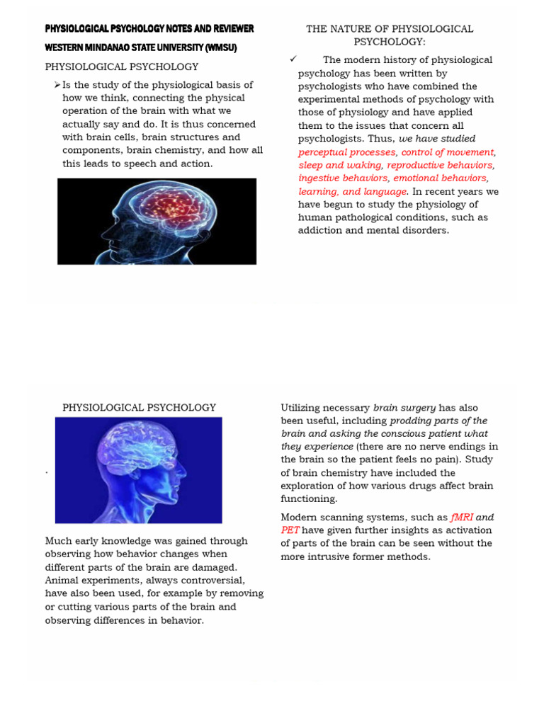 Physiological Psychology Overview | PDF | Neurotransmitter | Brainstem