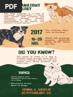 Dog Anatomy: Head to Tail Overview | PDF | Foot | Human Anatomy