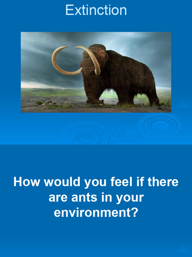 Extinction | PDF | Habitat Destruction | Extinction