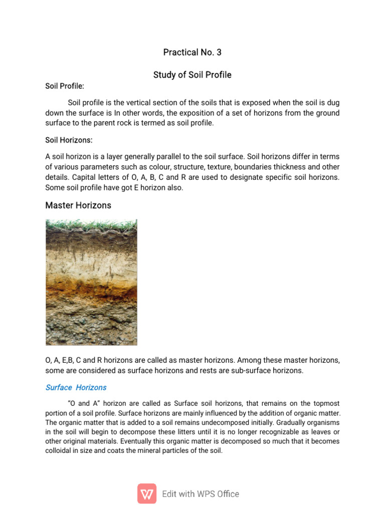 Practical No 3. Study of Soil Profile | PDF