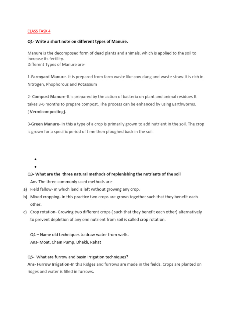 Pending Work Class Viii (Mid Term) | PDF | Eye | Reflection (Physics)