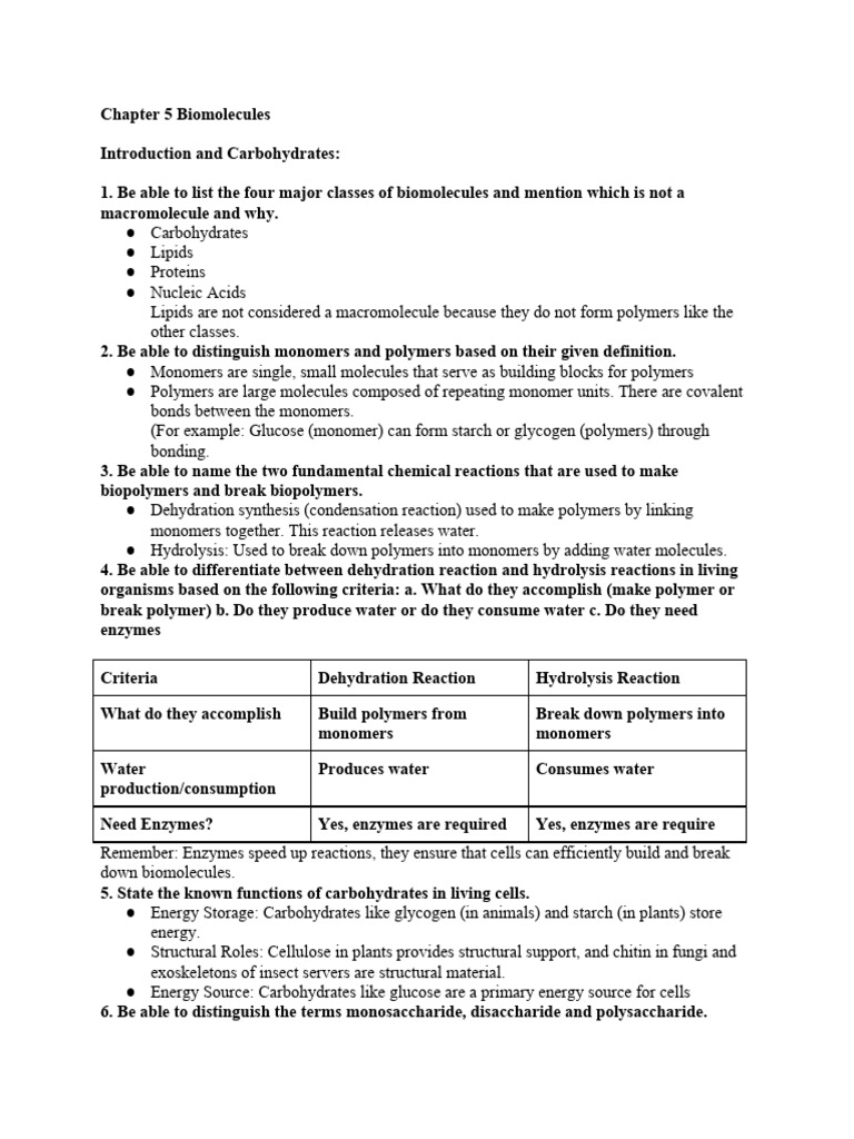 Biomolecules & Carbohydrates Guide | PDF | Carbohydrates | Protein ...