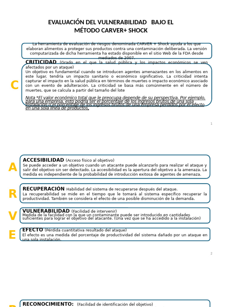 Carver + Shock | PDF | Vulnerabilidad (informática) | Accesibilidad