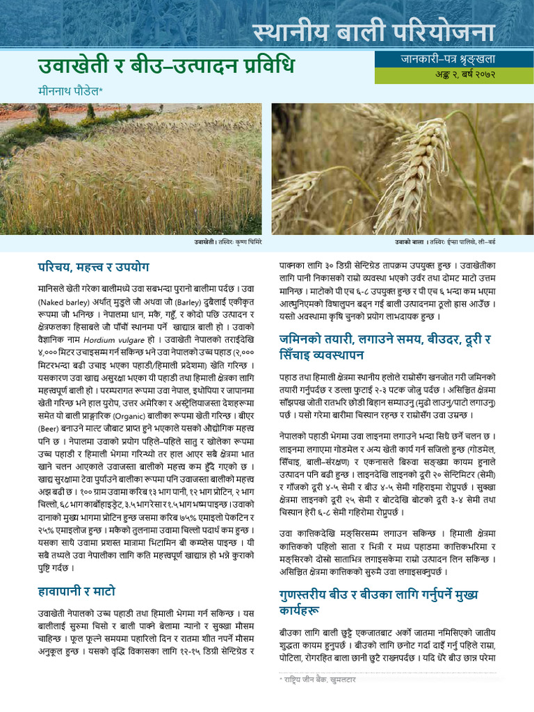 Naked-Barley_Local-Crops-Project_Info-Sheet-Series-02_Nepali | PDF