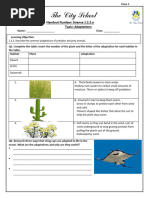 Food Chain Graphic Organizer | PDF | Foods