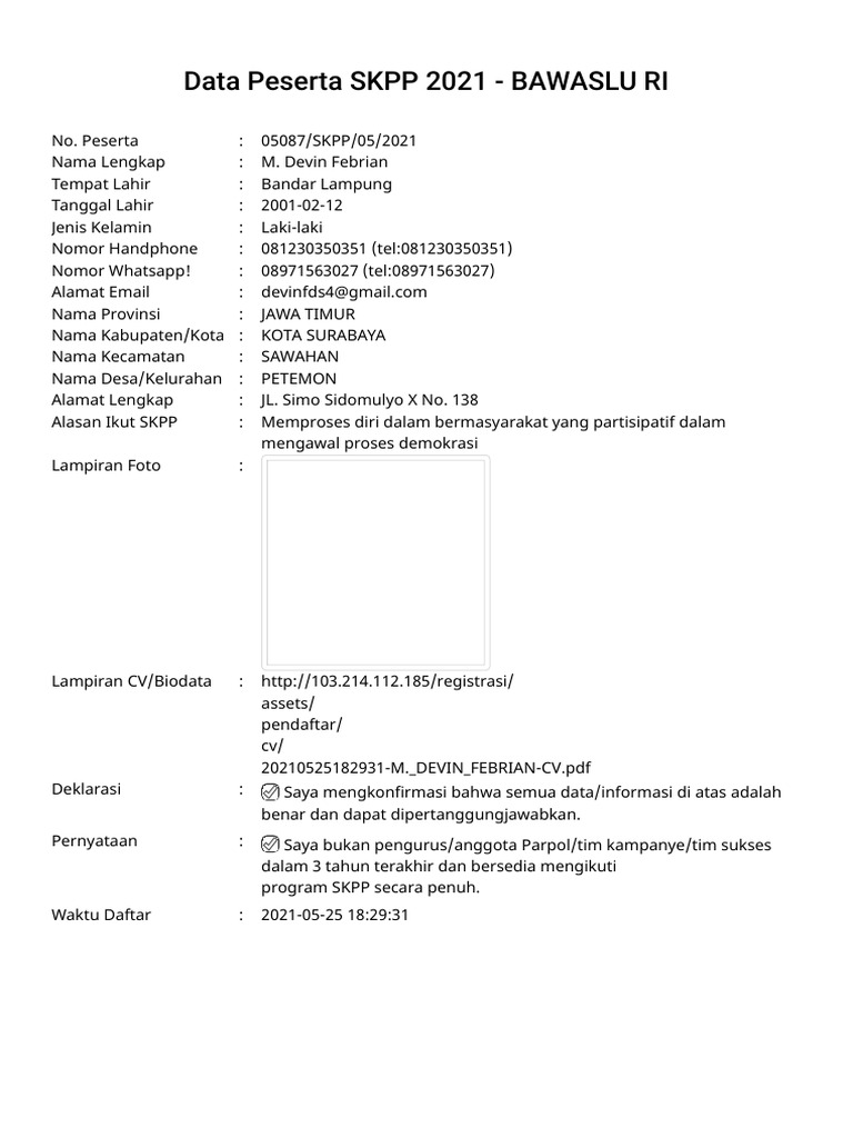 Pendaftaran SKPP 2021 - BAWASLU RI | PDF