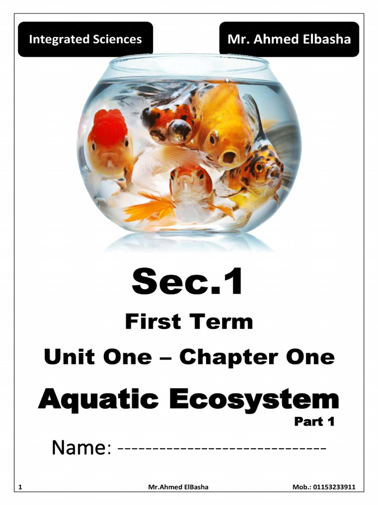 Sec.1 Unit One - Chapter One 2025 | PDF